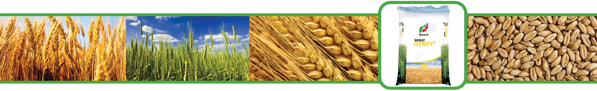 Kunsmis / Bemesting vir Koring / Graan – Kynoch Kunsmis Produkte ...