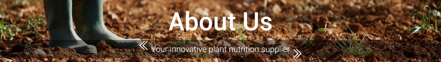 About Us | Kynoch Fertilizer