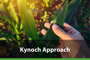 Services | Kynoch Fertilizer