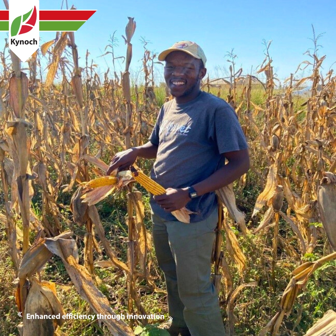Thriving as a Small-Scale Farmer in South Africa | Kynoch Fertilizer ...