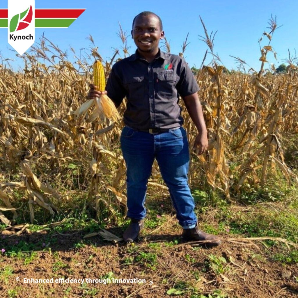 Thriving as a Small-Scale Farmer in South Africa | Kynoch Fertilizer ...
