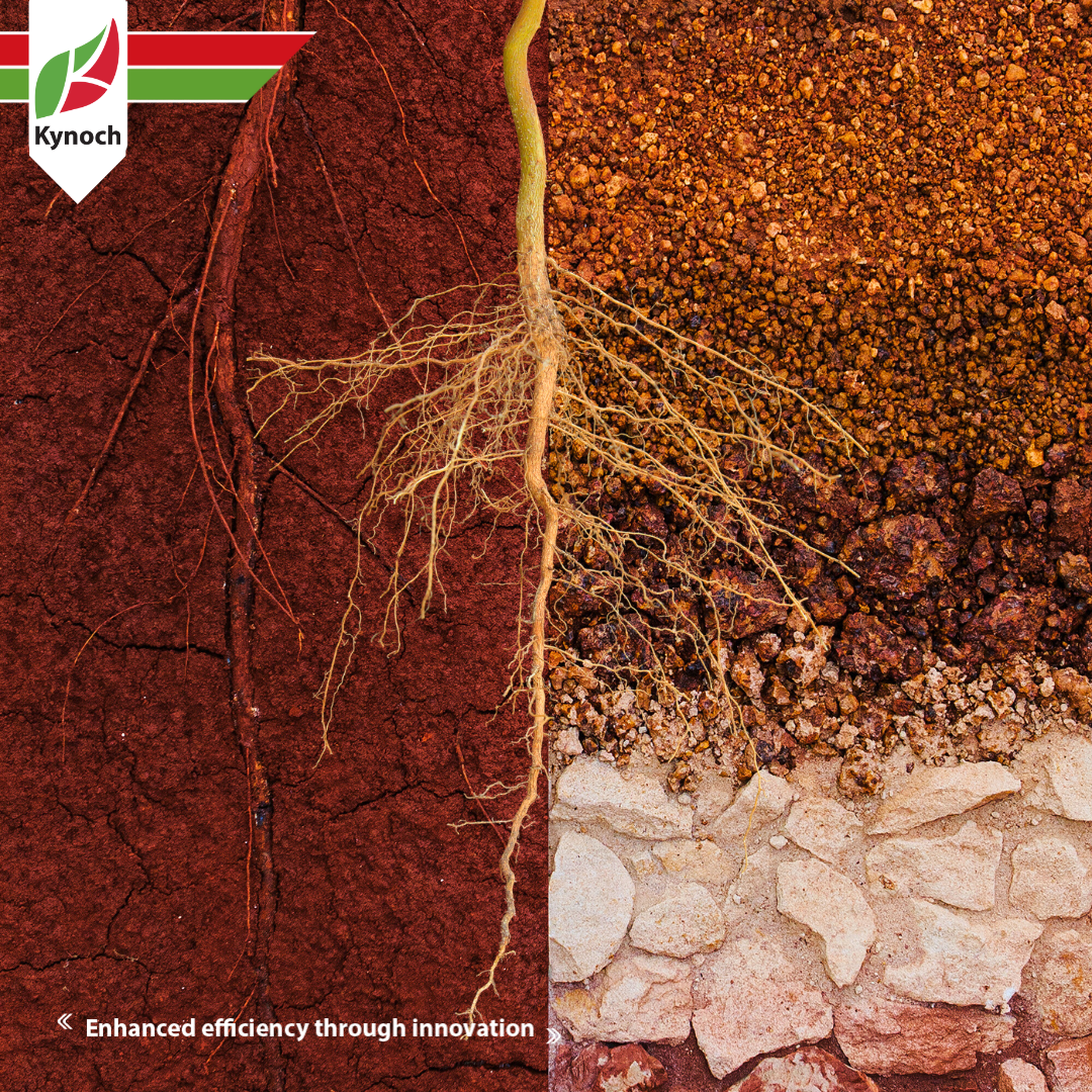 Unlocking Soil-Plant Interaction: Boost Crop Growth with Enhanced ...