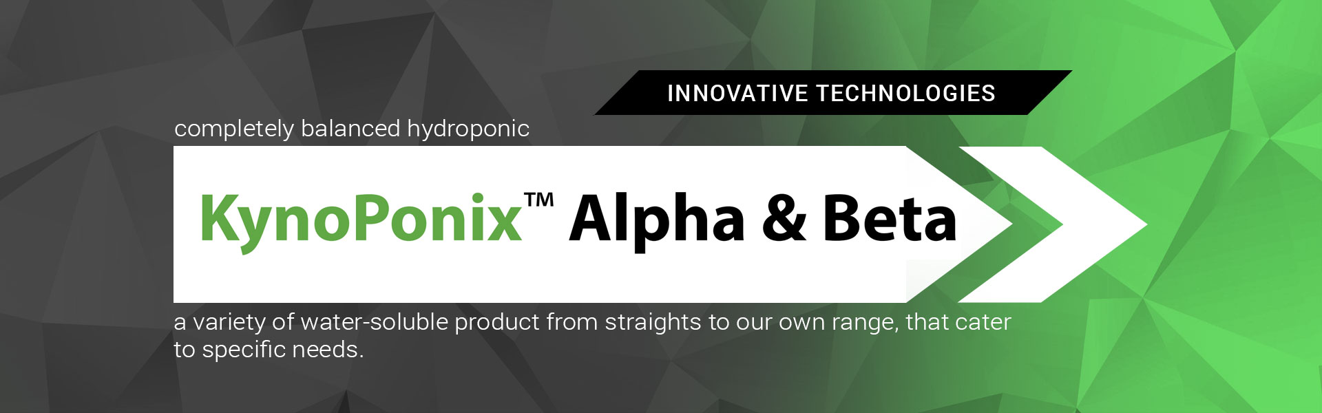 Enhanced Efficiency through Innovation